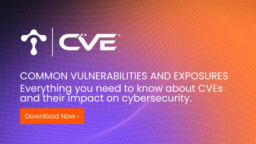 Common Vulnerabilities and Exposures Explained